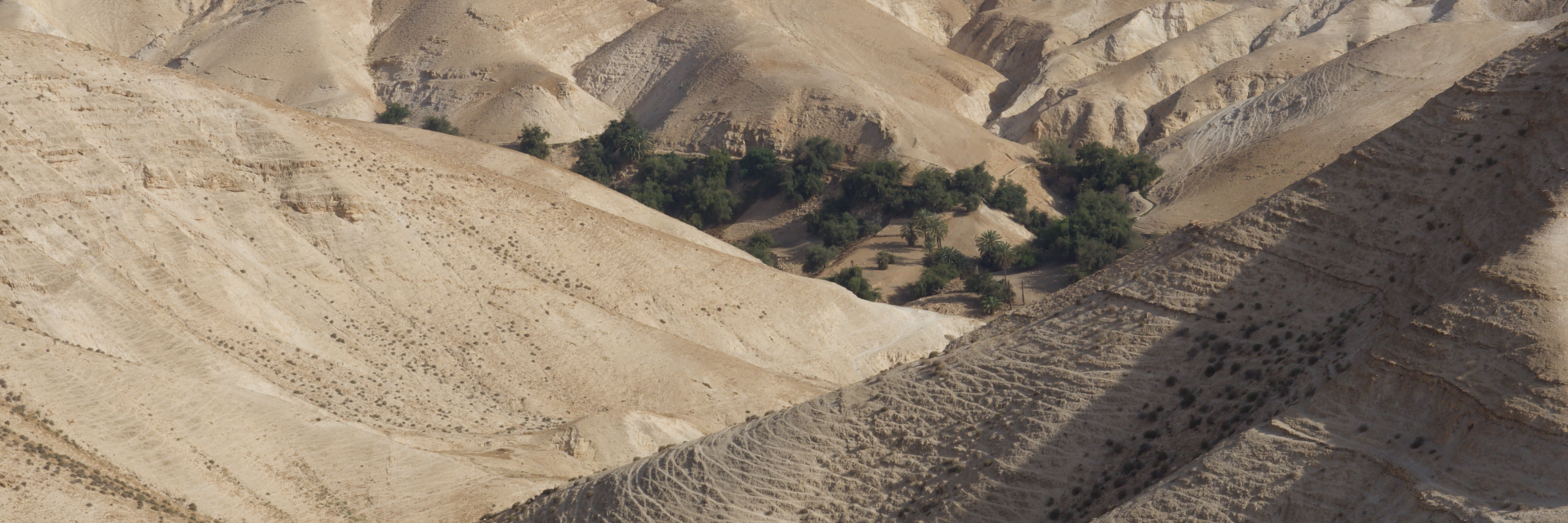 The Green Pastures of Psalm 23 – Caleb's Journal